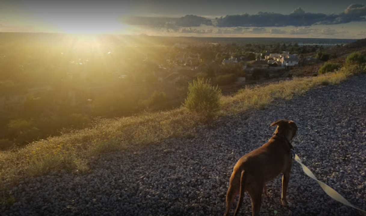 Westside Open Reserve - Top Dog Parks